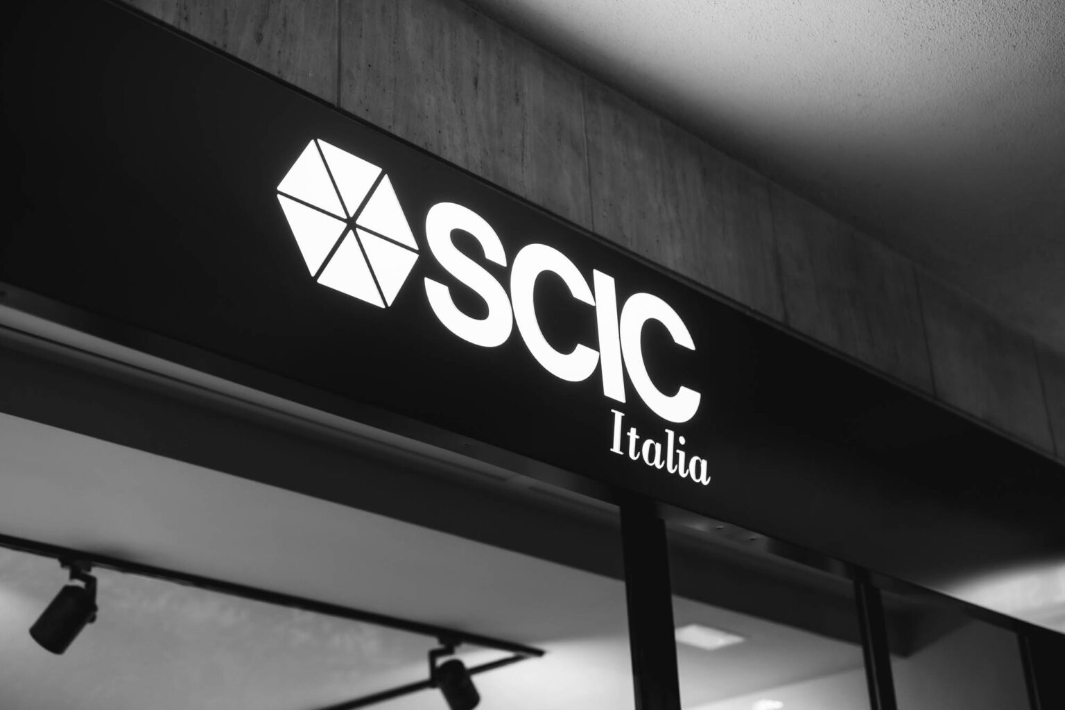 News & Collaborations - SCIC Italia